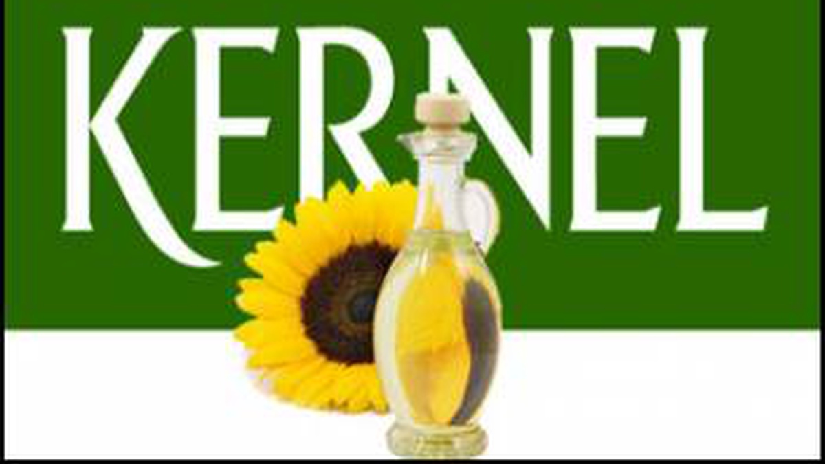 Старокостянтинівський завод "Кернел" пошкоджено атакою дрона