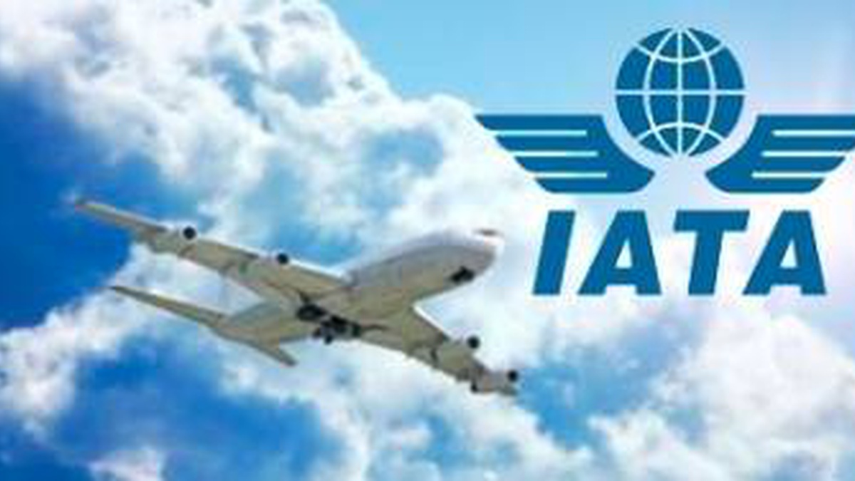 IATA назвала злочином катастрофу малайзійського Boeing-777 у Донецькій ...