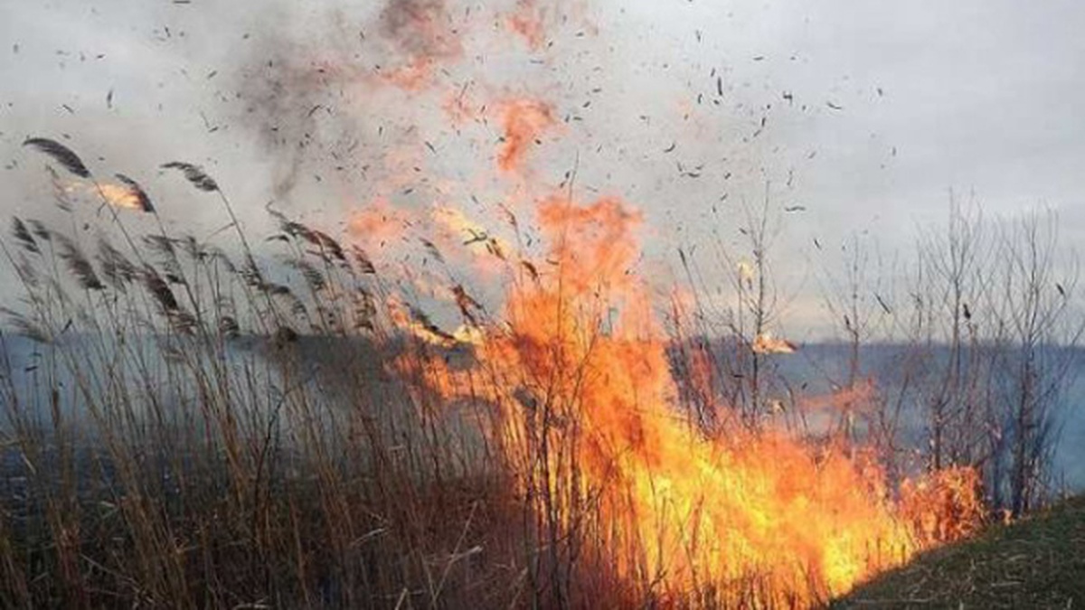 Рятувальники КАРС і ДСНС локалізують загоряння очерету поблизу озера